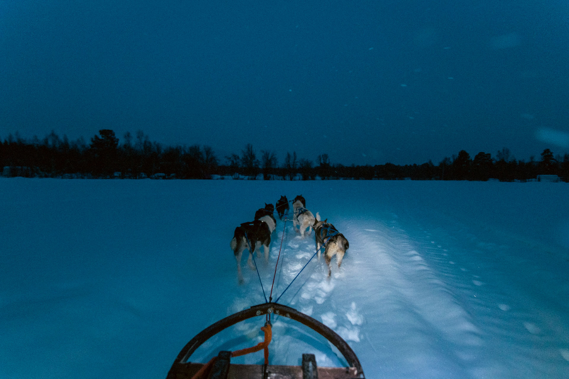 Holmen Husky Lodge - Romain Charrier - Photographe, réalisateur ...