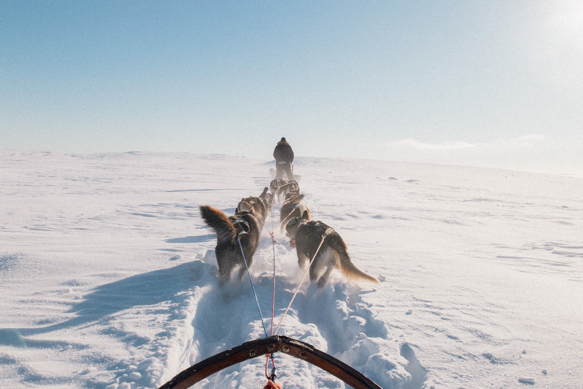 Holmen Husky Lodge - Romain Charrier - Photographe, réalisateur ...